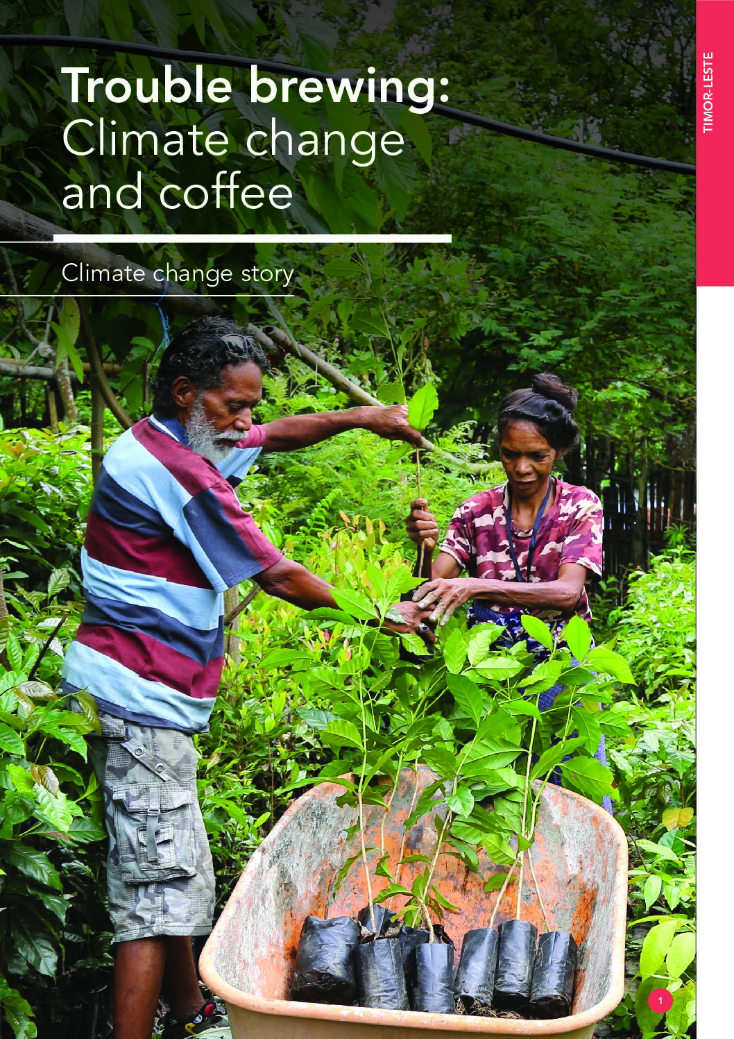 Timor-Leste - 2024 Annual Report - Market Development Facility