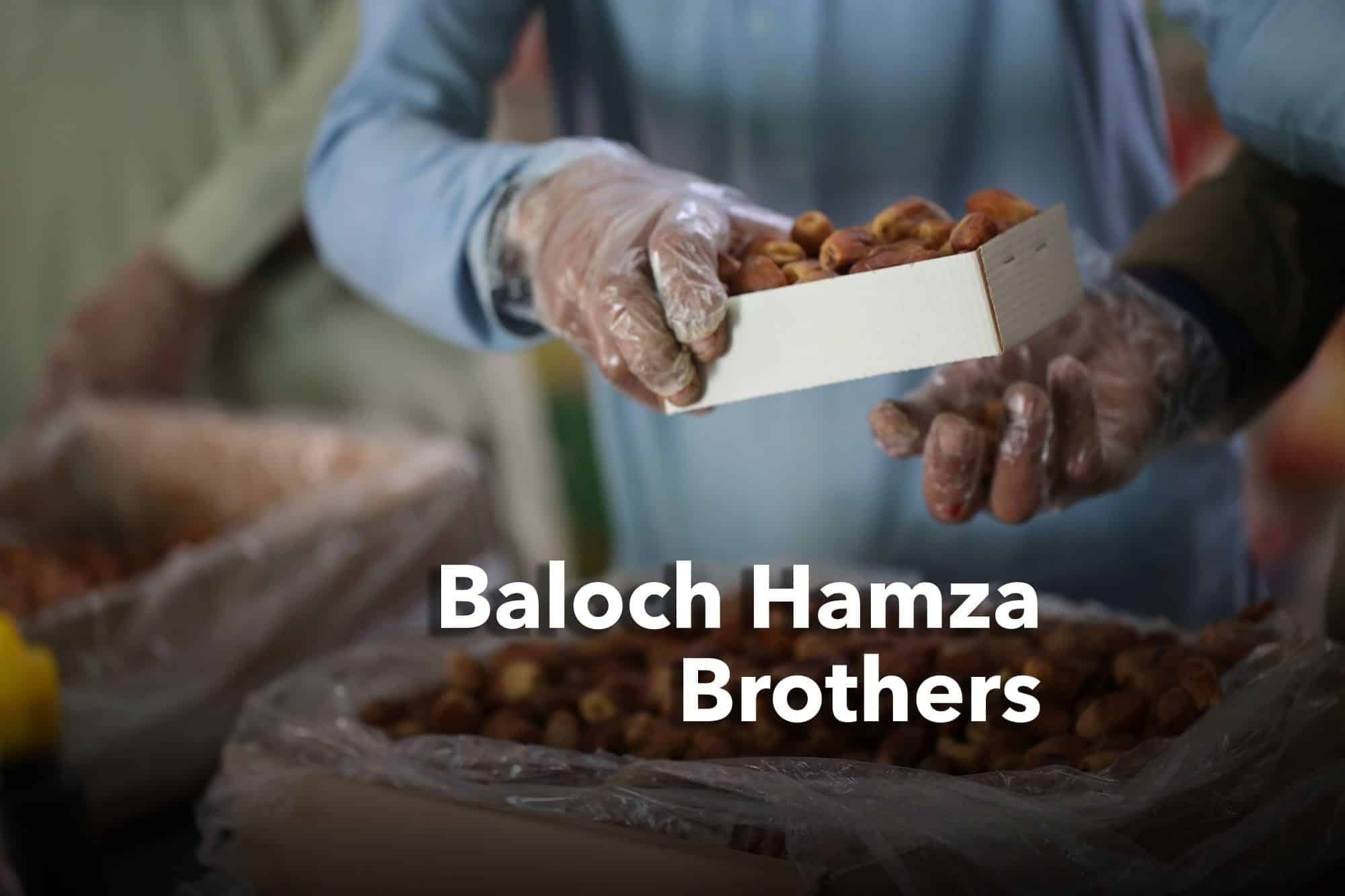 Baloch Hamza Brothers Date Company - MDF