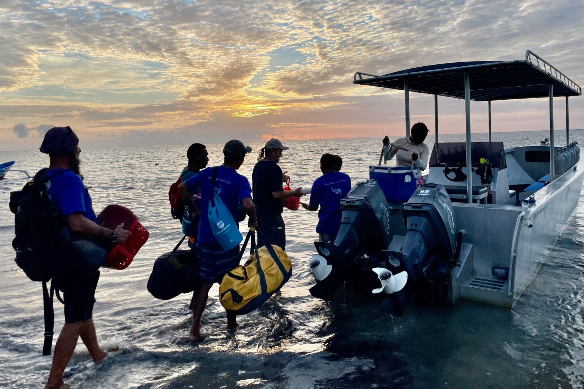 What We Do - Market Development Facility