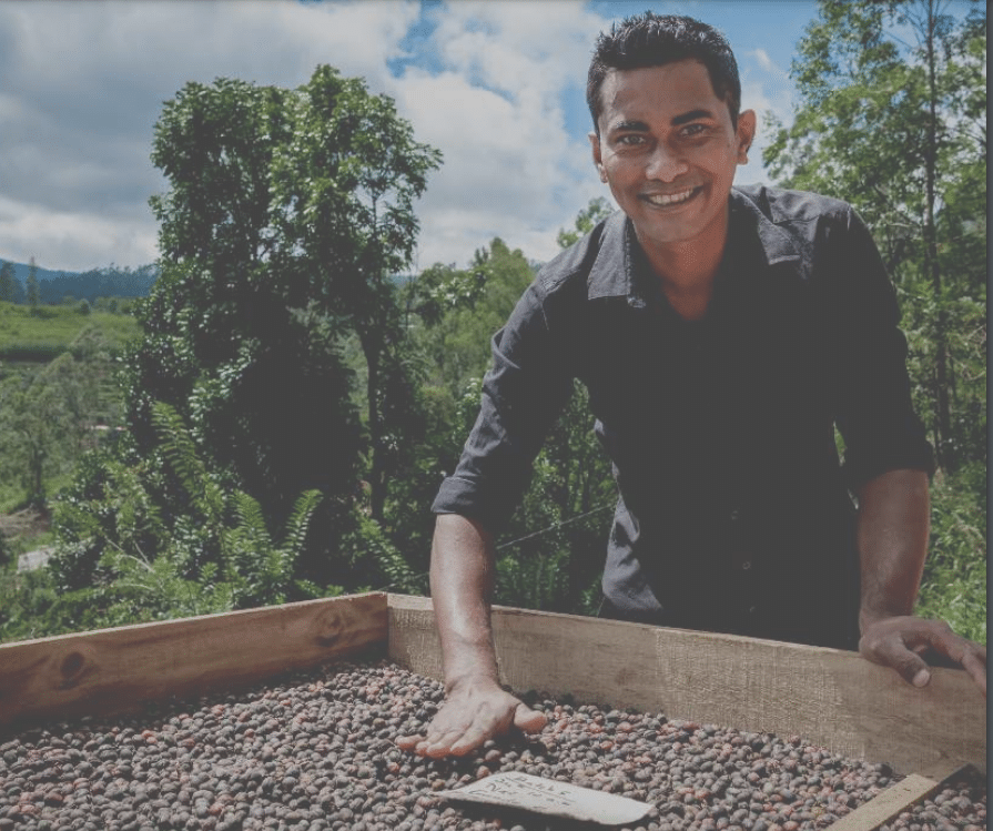 The Investment Coffee Prospectus - Market Development Facility